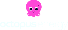 Constantine the Octopus plushie – Octopus Energy